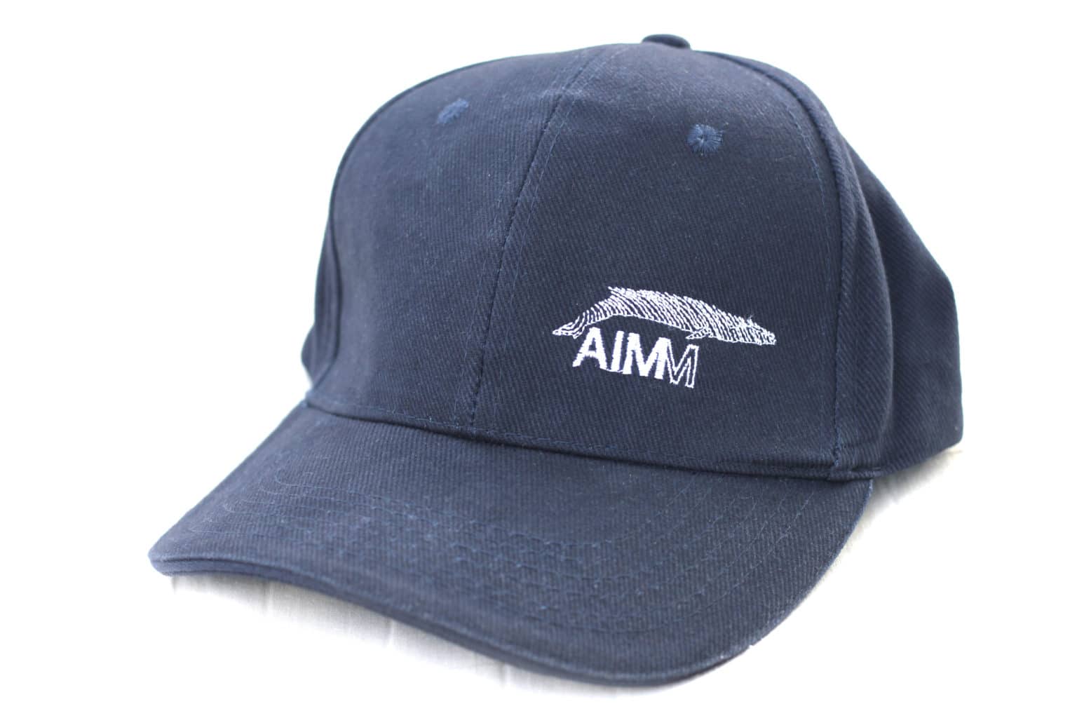 Golfinho-comum - AIMM