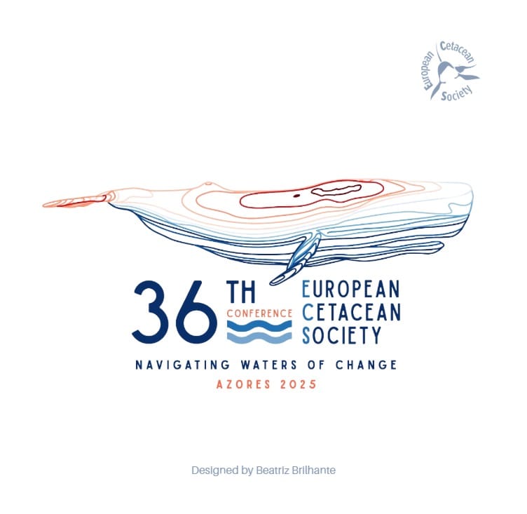 ECS 2025 - AIMM posters